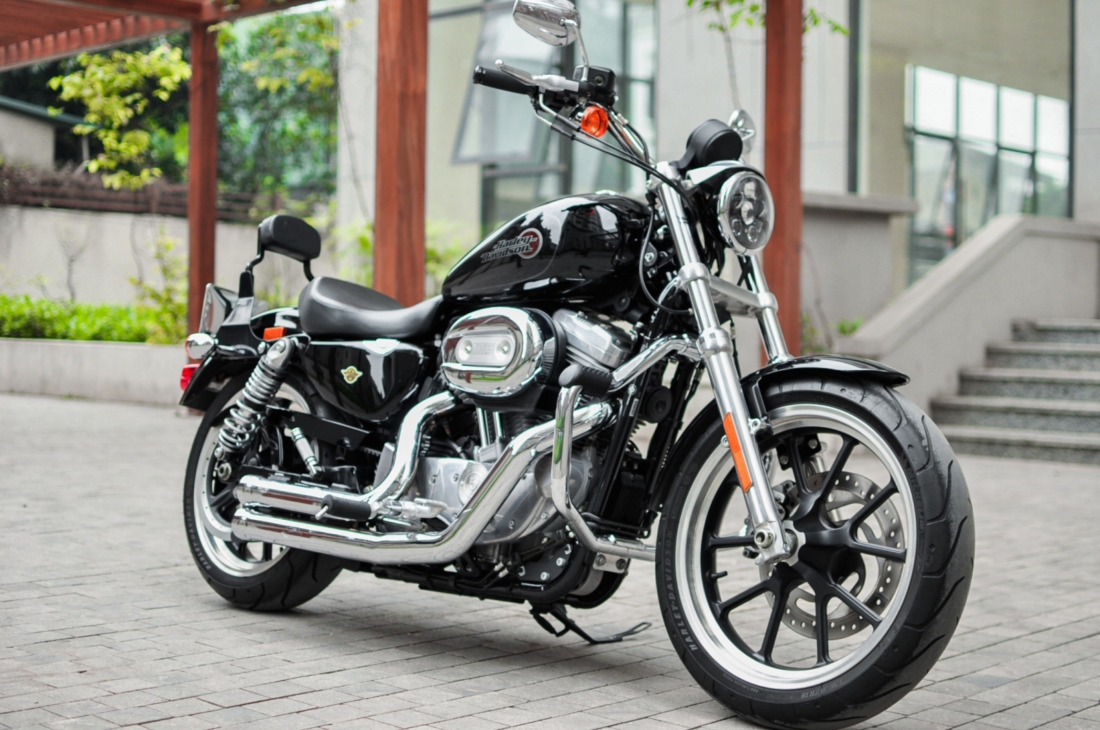 Harley davidson Super Low 883 2021